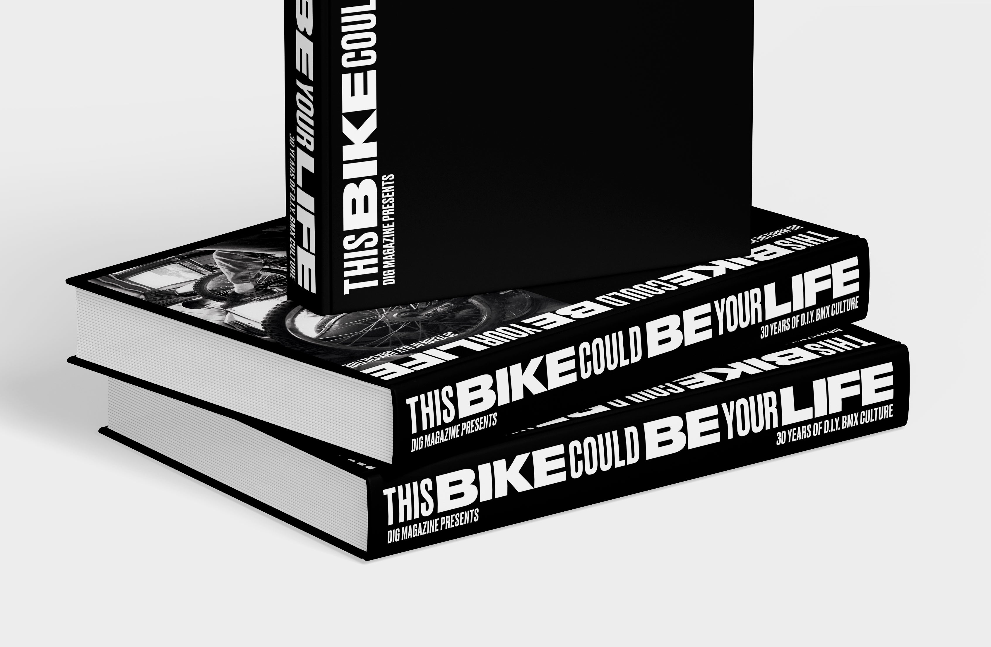 DIG - THIS BIKE COULD BE YOUR LIFE - Documenting over 30 Years Of D.I ...